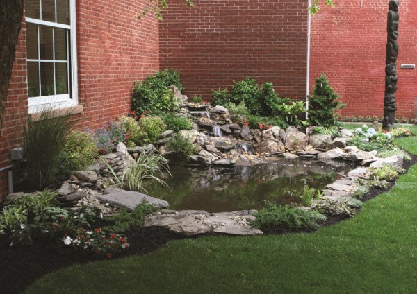Idea: Koi Corner Pond – Marquis Gardens