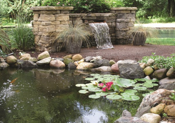Idea: Pondless Decent – Marquis Gardens